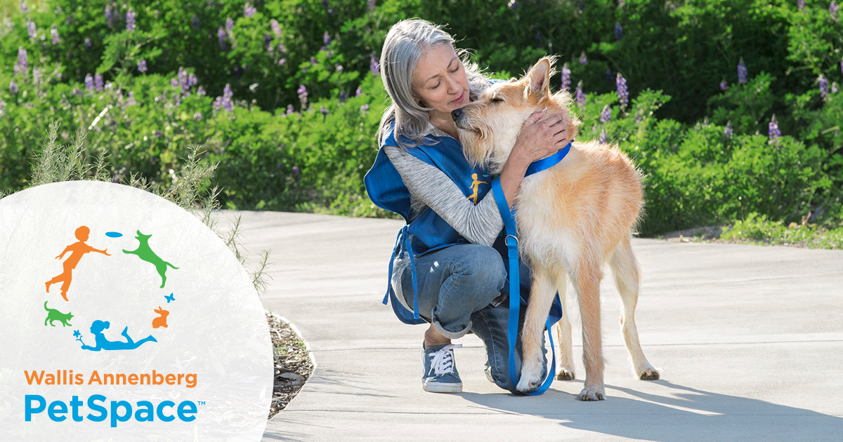 Annenberg PetSpace | Volunteering & Careers
